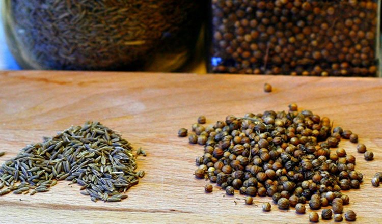 Beneficiile chimionului și coriandrului asupra organismului