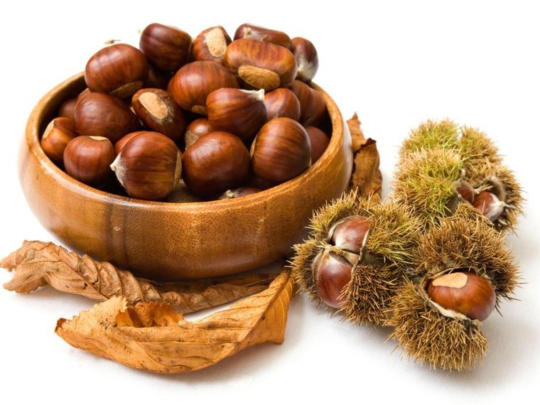 Top 7 remedii naturiste care te pot scăpa de varice