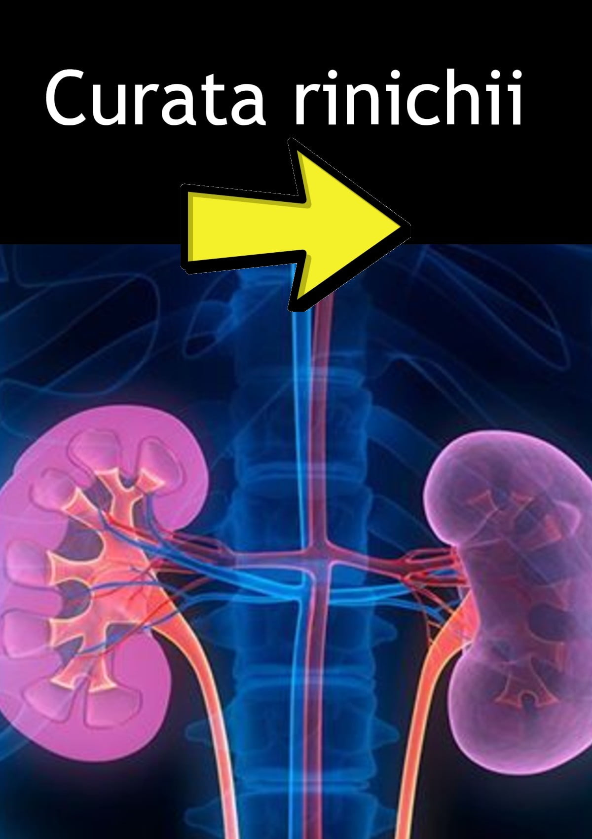 10 alimente care curăță rinichii și îmbunătățesc funcția renală