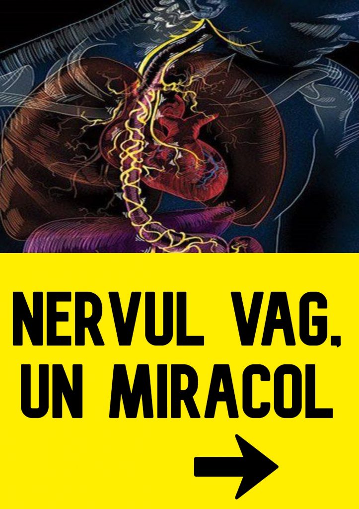 Nervul vag – un miracol al corpului uman! Cel mai lung nerv face ...